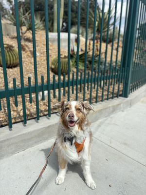 ROWENA RESERVOIR - Updated October 2025 - 50 Photos - 3100 Ettrick St ...