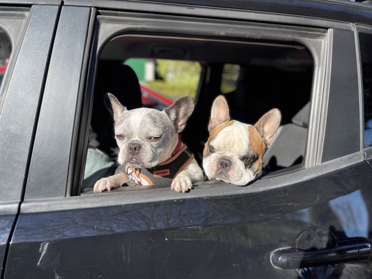 FRANKLIN RANCH PET HOSPITAL AND HOTEL - Updated December 2025 - 152 ...