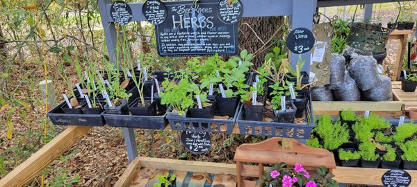 THE BEE’S KNEES FARMSTAND - Updated October 2025 - 11 Photos - 969 NE ...