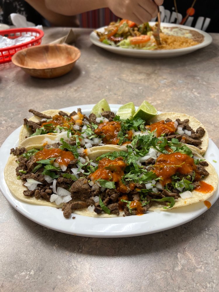 CASA MOTA - Updated August 2024 - 205 Photos & 293 Reviews - 8151 ...