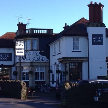 THE WHITE LION - Updated June 2024 - Frenchay Common, Bristol, United ...