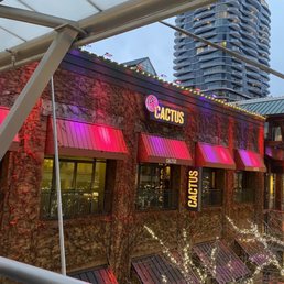 CACTUS RESTAURANTS - Updated December 2025 - 1444 Photos & 1263 Reviews ...