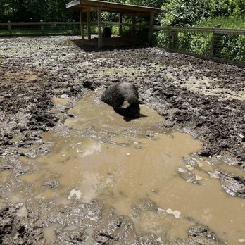 SUSON PARK - Updated November 2025 - 159 Photos & 45 Reviews - 6059 ...