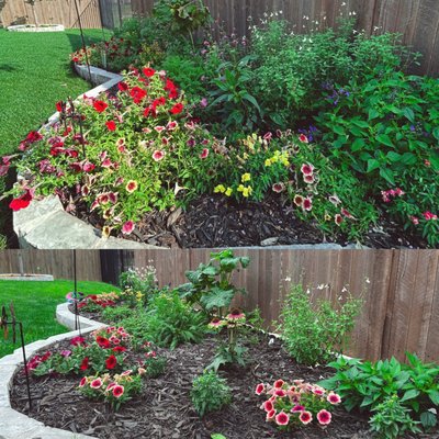 THE FLOWER RANCH - Updated December 2025 - 37 Photos & 32 Reviews - 901 ...