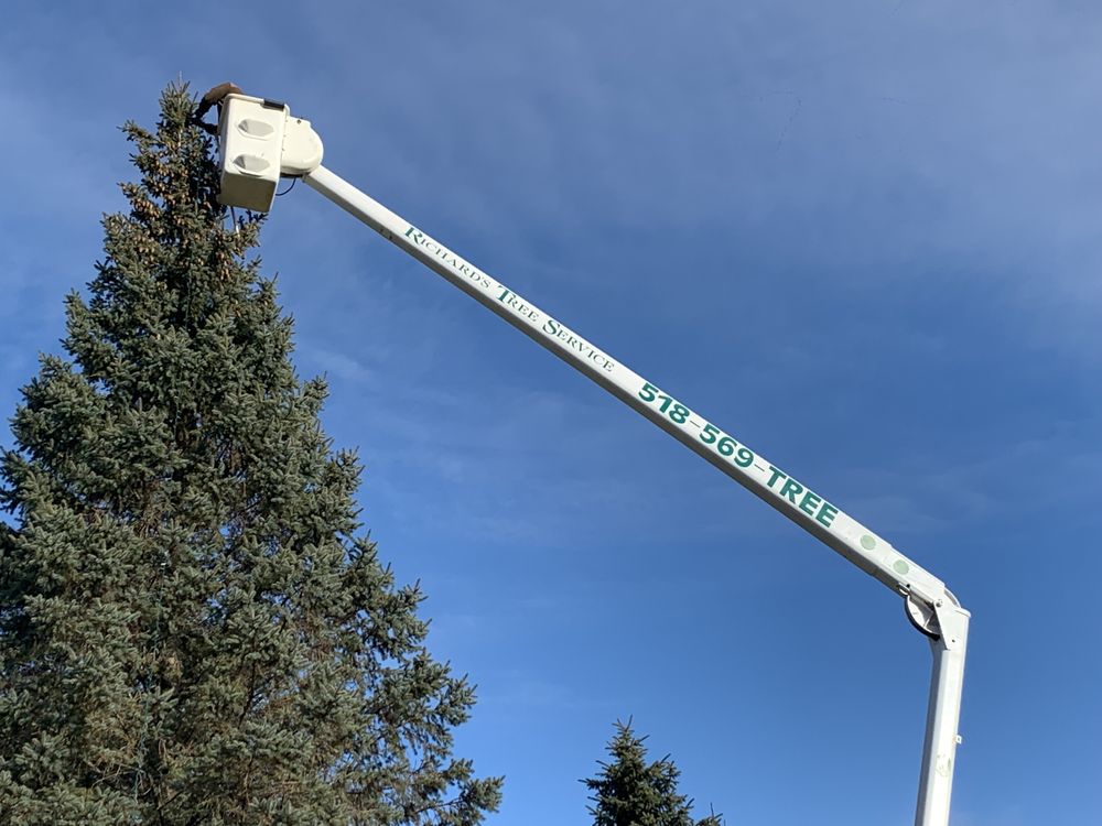 RICHARD’S TREE SERVICE - Updated August 2024 - 33 Photos - 24 Church St ...