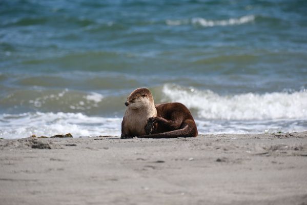 POINT NO POINT LIGHTHOUSE & PARK - Updated December 2025 - 74 Photos ...