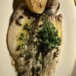 ATIK RESTAURANT - Updated October 2025 - 148 Photos - 47 Reviews - 555 ...