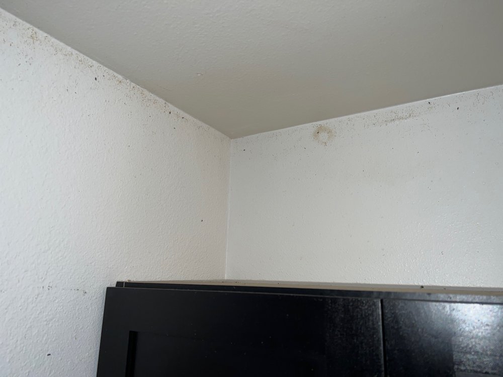 SIMON CLEANING SERVICE - Updated May 2025 - 57 Photos & 12 Reviews ...