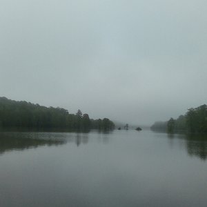 STUMPY LAKE NATURAL AREA - 233 Photos & 16 Reviews - 4794 Indian River ...