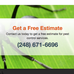 Rove Pest Control Reviews | Read Customer Service Reviews of rovepestcontrol.com
