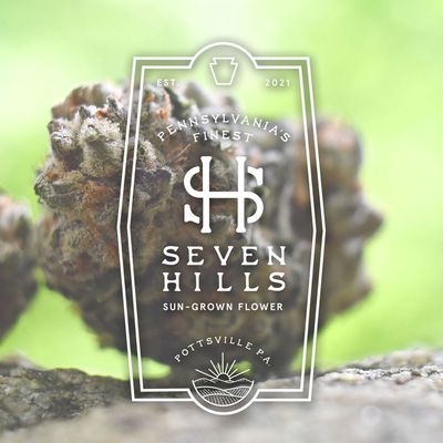 AYR WELLNESS MEDICAL MARIJUANA DISPENSARY MONTGOMERYVILLE - Updated ...