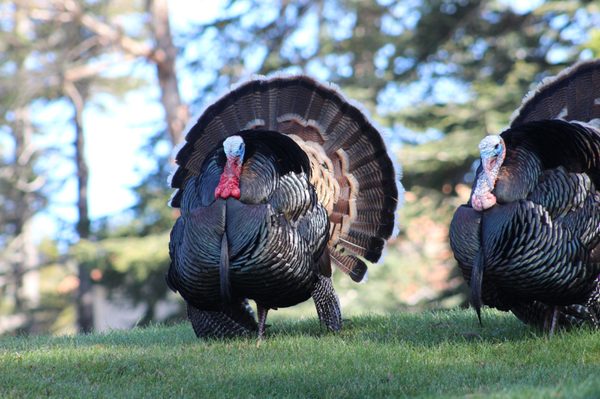 SUNSET VIEW CEMETERY AND MORTUARY - Updated December 2025 - 117 Photos ...