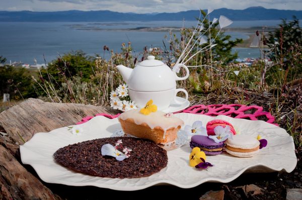 CHLOÉ CASA DE TÉ - Updated July 2025 - 24 Photos - Barrio Las Raíces ...