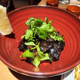 ZOKU - Updated March 2025 - 364 Photos & 66 Reviews - 261 Avenida Del ...