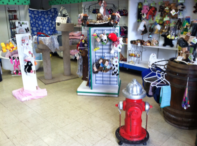 FIRE PLUG DOG & CAT GROOMING - Updated December 2025 - 12 Photos - 6668 ...