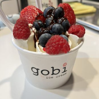 GOBI ICE CREAM - Updated October 2025 - 1099 Photos & 543 Reviews ...
