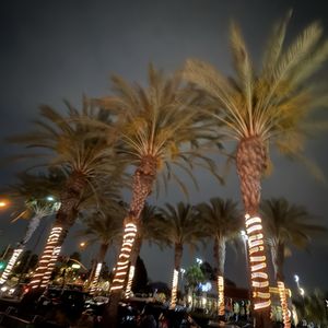 PROMENADE AT DOWNEY - Updated December 2025 - 85 Photos & 19 Reviews ...