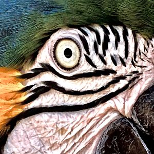 SERGIO JARAMILLO, MD - 9090 SW 87th Ct, Miami, Florida - Neurologist ...