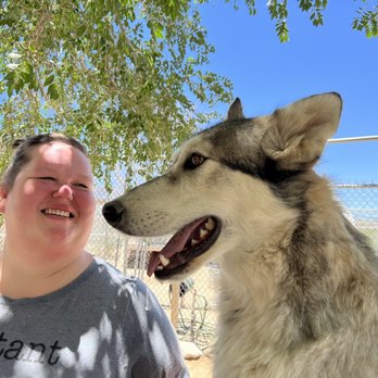 WOLF MOUNTAIN SANCTUARY - Updated October 2025 - 457 Photos & 190 ...