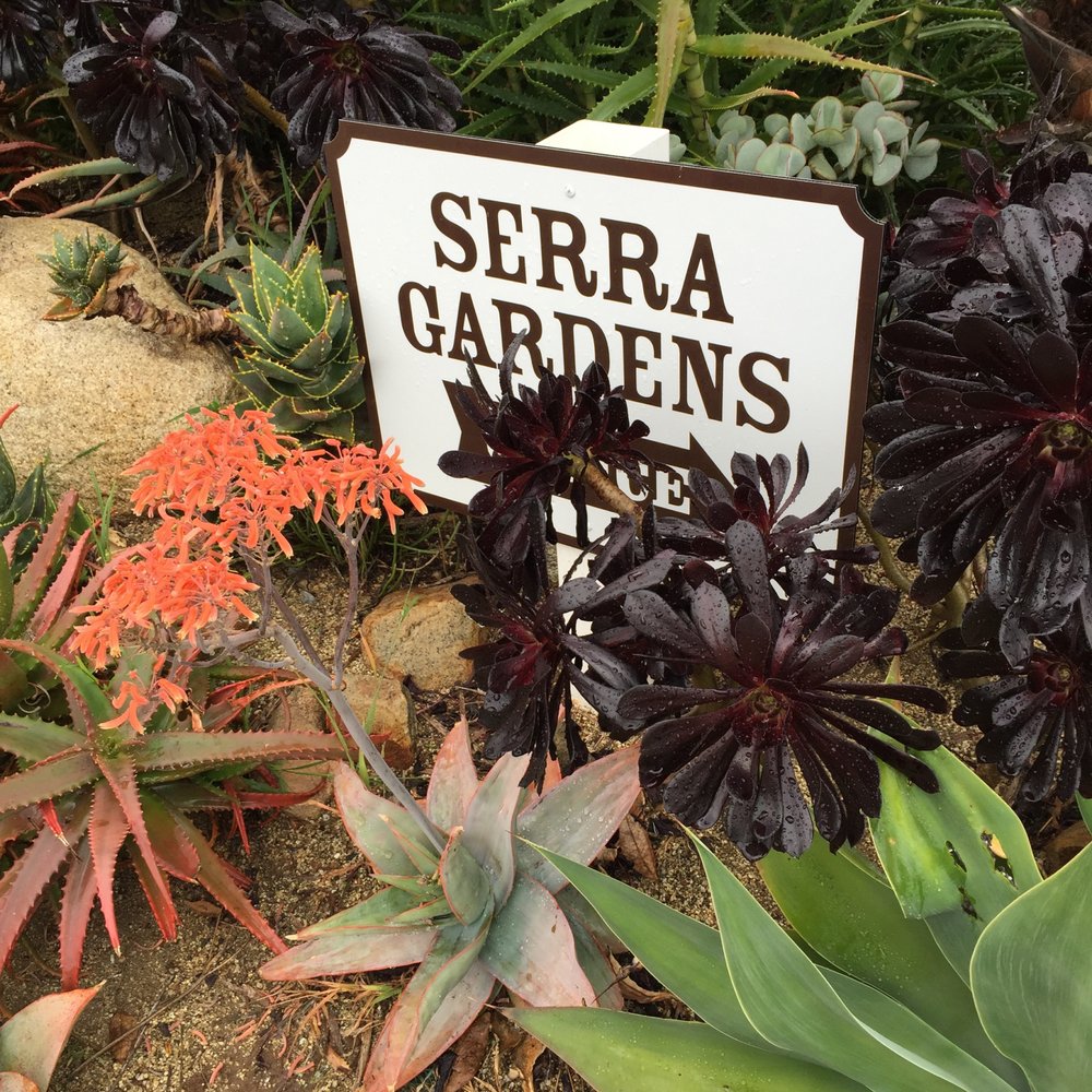 SERRA GARDENS LANDSCAPE SUCCULENTS - Updated October 2025 - 48 Photos ...