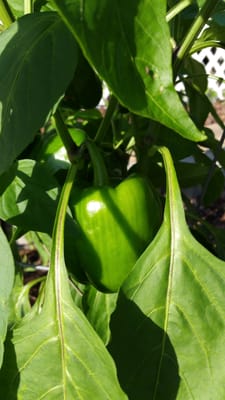 JIM SCOTT COMMUNITY CENTER - Updated December 2025 - 20 Photos - 3001 ...