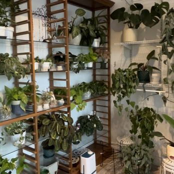 FAY CAFE - Updated June 2025 - 52 Photos & 20 Reviews - 2855 W State ...