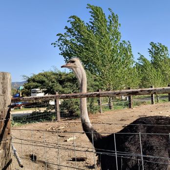 QUAIL RUN RANCH - Updated November 2025 - 129 Photos & 51 Reviews ...