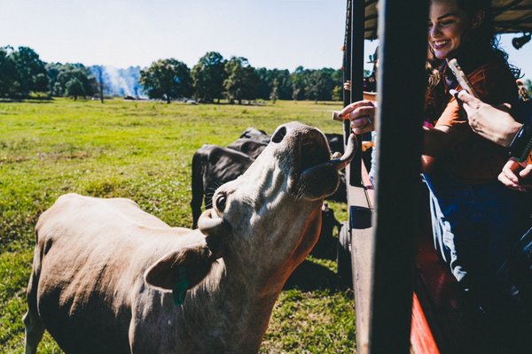 DIAMOND D RANCH - Updated December 2025 - 64 Photos & 22 Reviews - 5903 ...