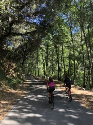 WEST FORK TRAIL - Updated June 2024 - 107 Photos & 27 Reviews - Azusa ...