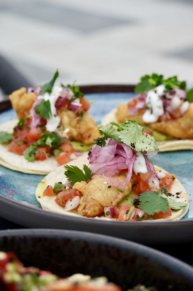 STUDY HALL ROOFTOP LOUNGE - Updated December 2024 - 334 Photos & 218 ...