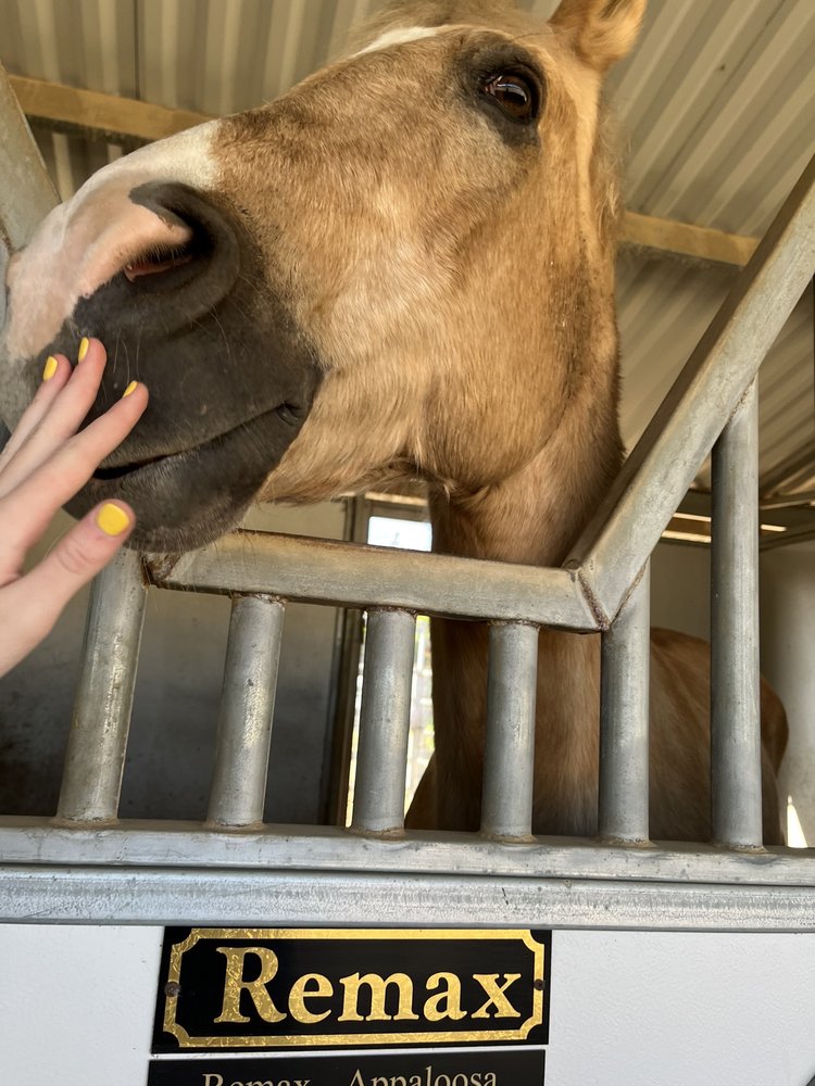 IVEY RANCH PARK RIDING ACADEMY - Updated January 2026 - 26 Photos & 13 ...