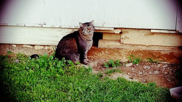 DIABLO VALLEY RANCH - Updated December 2025 - 42 Photos - 11540 Marsh ...