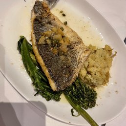 C&S SEAFOOD & OYSTER BAR - Updated October 2025 - 919 Photos & 691 ...