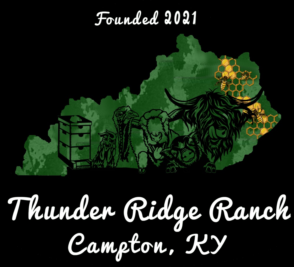 THUNDER RIDGE RANCH - Updated July 2025 - 1640 Calaboose Ridge Rd ...