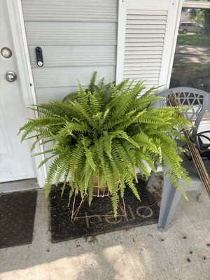 MENARDS - Updated December 2025 - 27 Reviews - 3340 Vandiver Dr ...