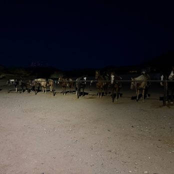 PONDEROSA STABLES - Updated October 2025 - 342 Photos & 238 Reviews ...