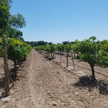 VAL VERDE WINERY - Updated November 2025 - 67 Photos & 32 Reviews - 100 ...