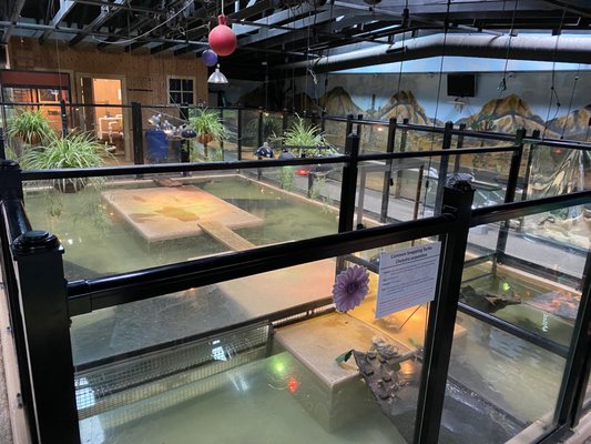 PHILLIPS PARK ZOO - 184 Photos & 85 Reviews - 1000 Ray Moses Dr, Aurora ...