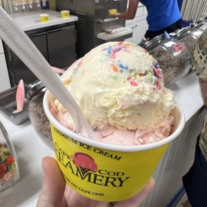 CAPE COD CREAMERY - 137 Photos & 265 Reviews - 1199 Route 28, South ...