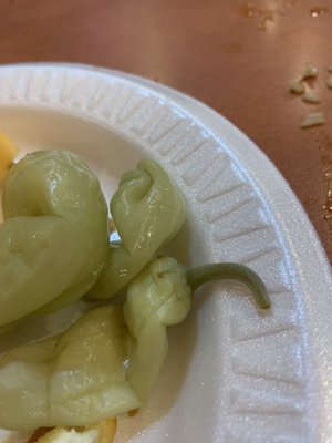 JOY EAST CHINESE RESTAURANT - Updated September 2024 - 31 Photos & 132 ...