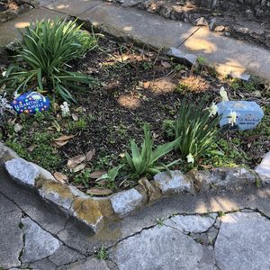 ROMANO MAZZOLI FEDERAL BUILDING - Updated February 2025 - 600 Dr Martin ...