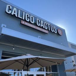 CALICO CACTUS - Updated December 2025 - 119 Photos & 68 Reviews - 833 S Ponce De Leon Blvd, St ...