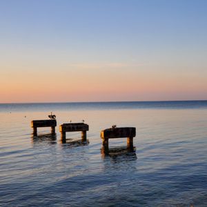 KEY WEST DOG BEACH - 33 Photos & 23 Reviews - Beaches - Vernon St And ...