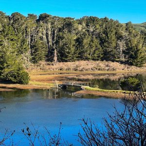 AUDUBON CANYON RANCH - Updated December 2024 - 19 Photos - 4900 ...