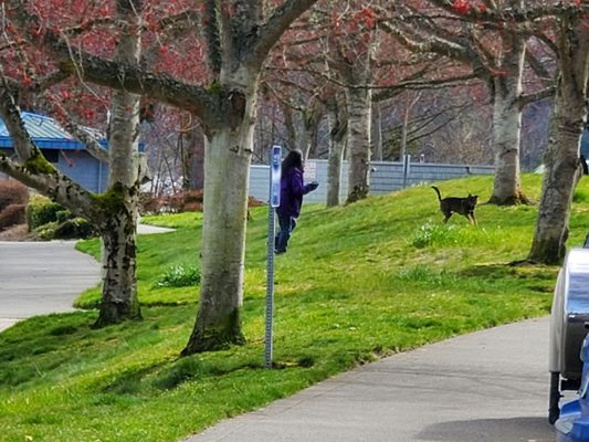 DOCKSIDE GRILL - Updated January 2026 - 230 Photos & 410 Real Reviews ...