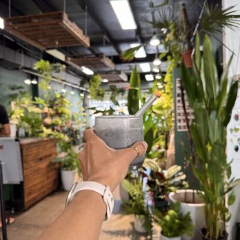 PLANTOEM - Updated September 2025 - 643 Photos & 144 Reviews - 3457 ...