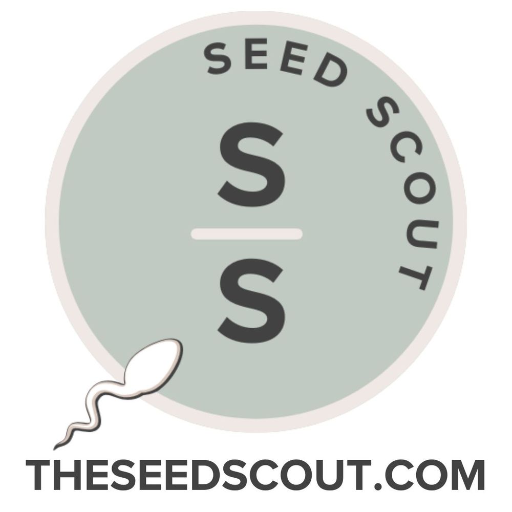 THE SEED SCOUT - Updated September 2025 - Beverly Hills, California - Sperm Clinic - Phone ...