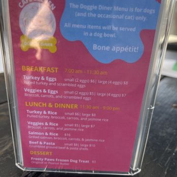 CAFE ELEVEN - Updated September 2024 - 275 Photos & 415 Reviews - 501 ...