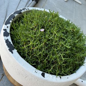 RESEDA DISCOUNT POTTERY & FOUNTAINS - 255 Photos & 251 Reviews - 7313 ...