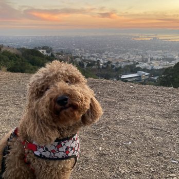 BERKELEY FIRE TRAILS - Updated September 2025 - 459 Photos & 109 ...